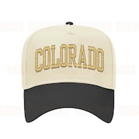 Colorado State University - Etsy