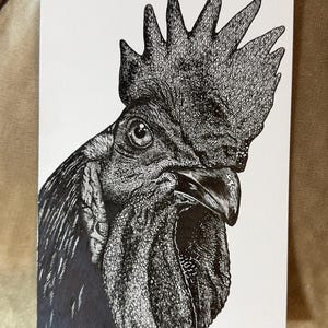 ORIGINAL Rooster Art Chicken Portrait Ink Pen | Pet, Farmhouse, Animal ...