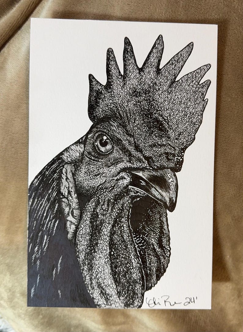 ORIGINAL Rooster Art Chicken Portrait Ink Pen | Pet, Farmhouse, Animal ...