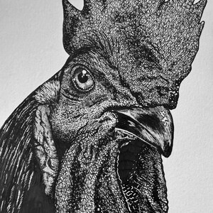 ORIGINAL Rooster Art Chicken Portrait Ink Pen | Pet, Farmhouse, Animal ...