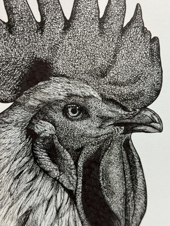 Crosshatch Animal Drawing