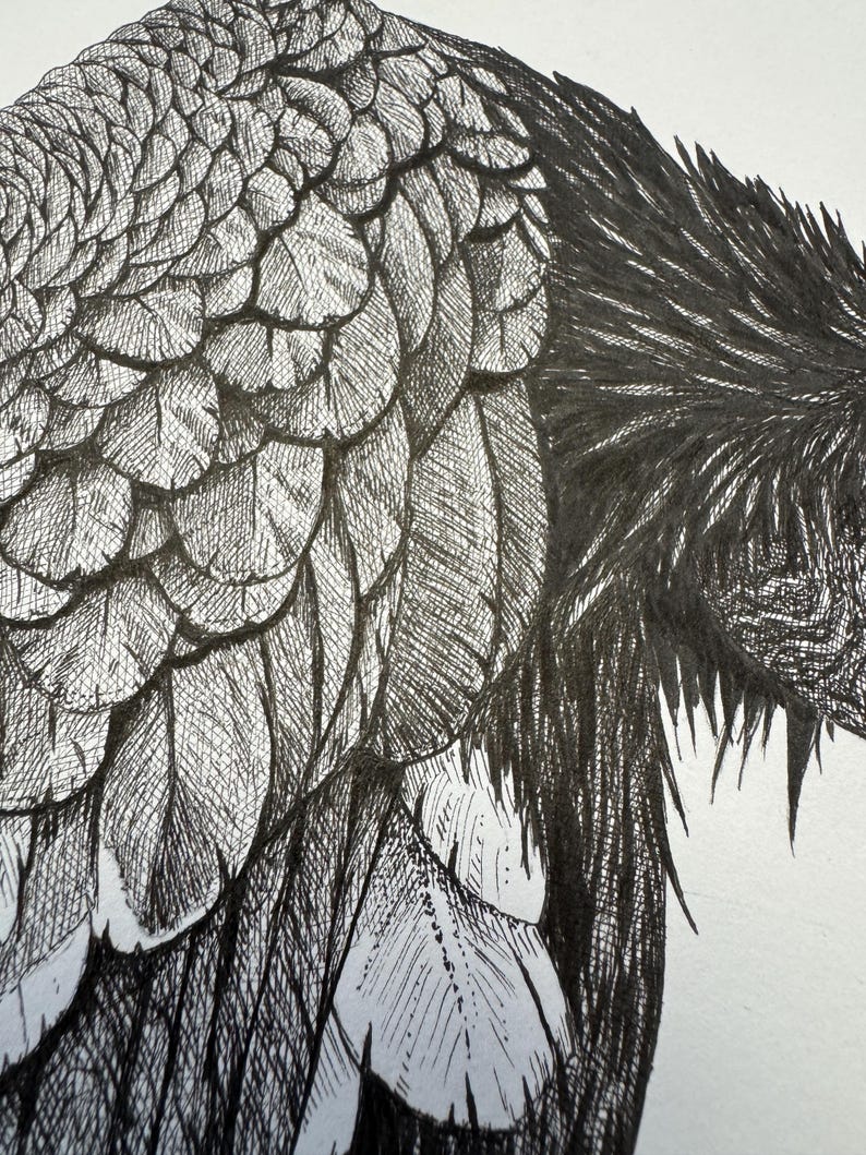 Fine Art Bird Vulture California Condor Painting Original Pen Ink ...