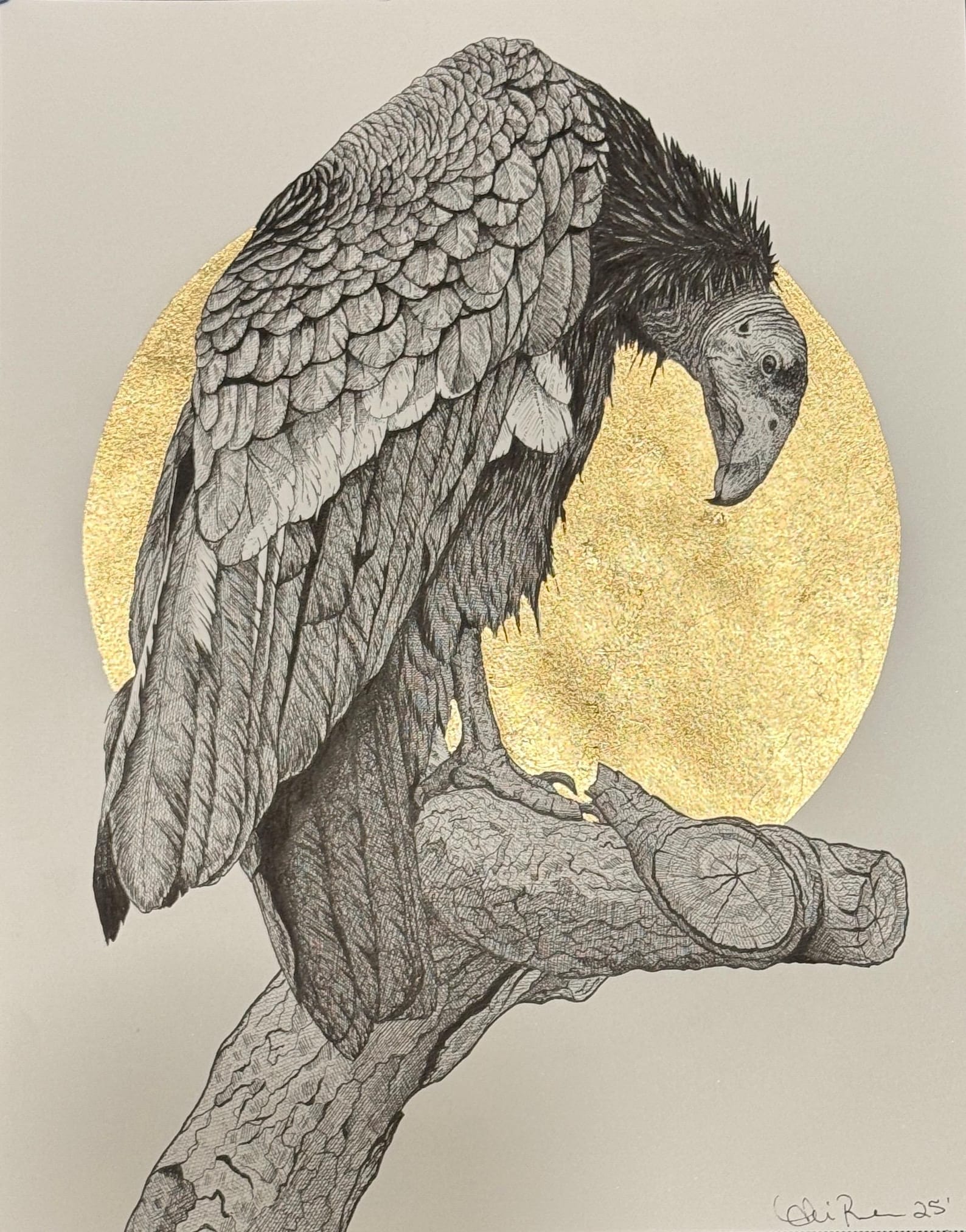 Fine Art Bird Vulture California Condor Painting Original Pen Ink ...