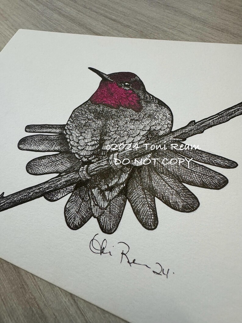 ORIGINAL Hummingbird Art Sketch Portrait Ink Pen | Pet Farmhouse Animal ...