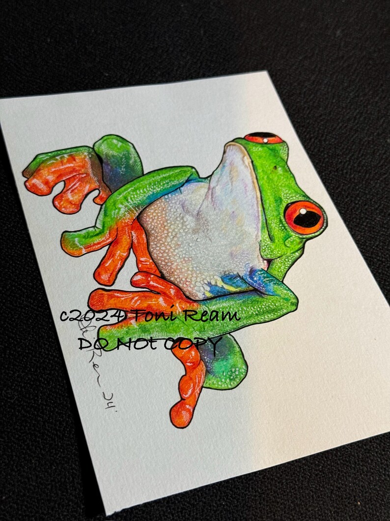 ORIGINAL Tree Frog Portrait Ink Pen Farmhouse, Amphibian, Reptile Art ...