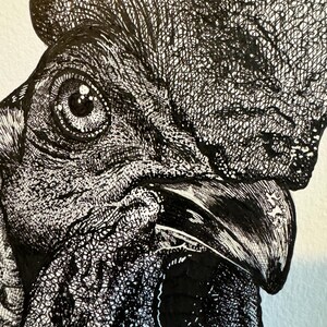 ORIGINAL Rooster Art Chicken Portrait Ink Pen | Pet, Farmhouse, Animal ...