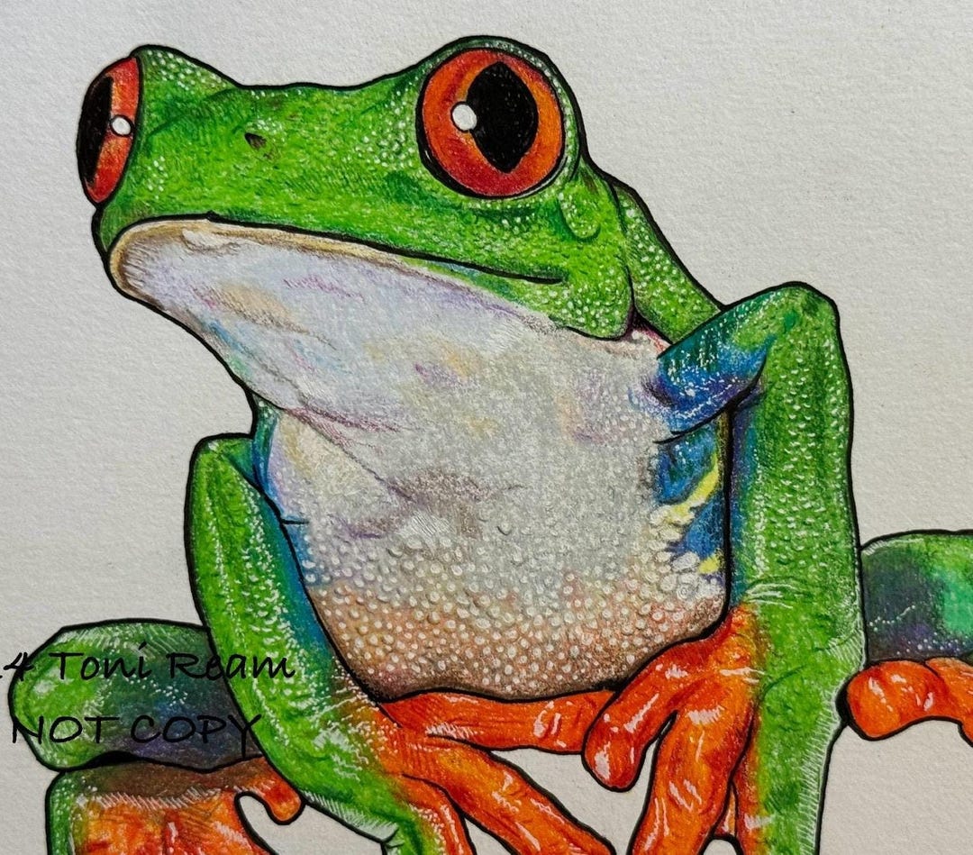 ORIGINAL Tree Frog Portrait Ink Pen Farmhouse, Amphibian, Reptile Art ...