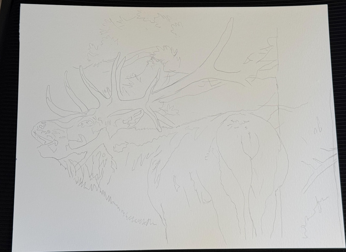 Original Bull Elk Archival Ink Drawing "the Call" Authentic Wildlife ...