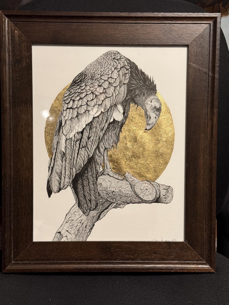 Fine Art Bird Vulture California Condor Painting Original Pen Ink ...