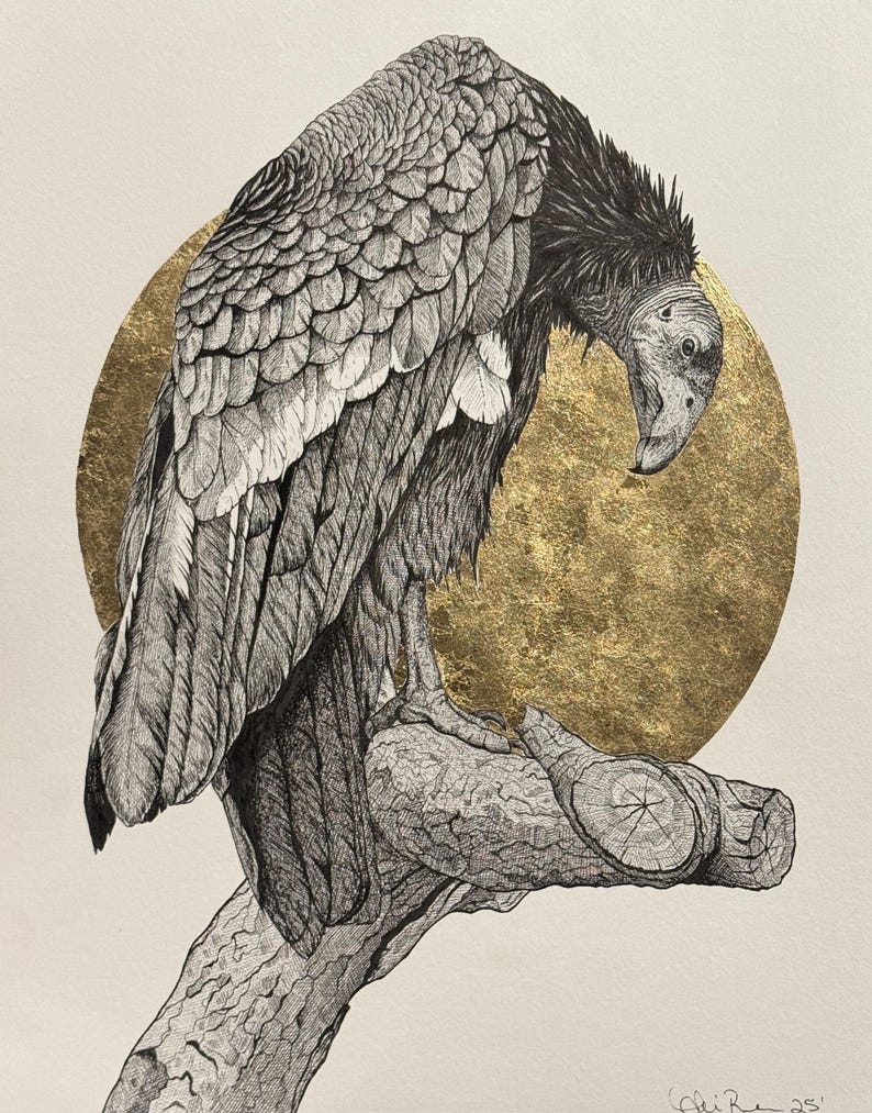 Fine Art Bird Vulture California Condor Painting Original Pen Ink ...