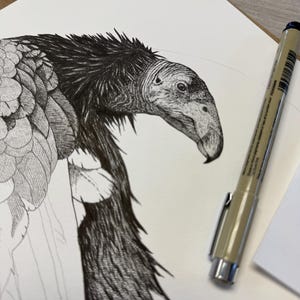 Fine Art Bird Vulture California Condor Painting Original Pen Ink ...