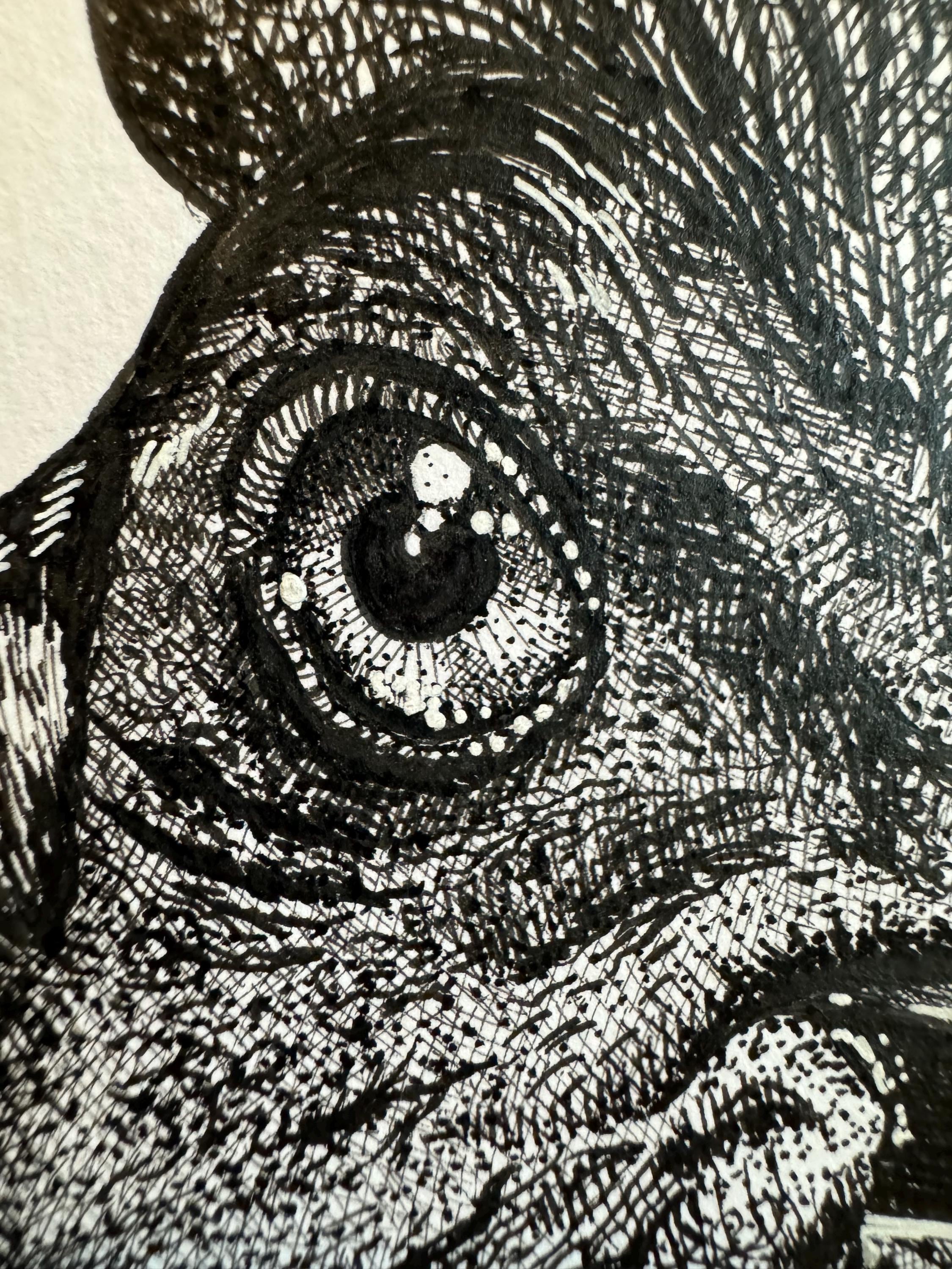 ORIGINAL Rooster Art Chicken Portrait Ink Pen | Pet, Farmhouse, Animal ...