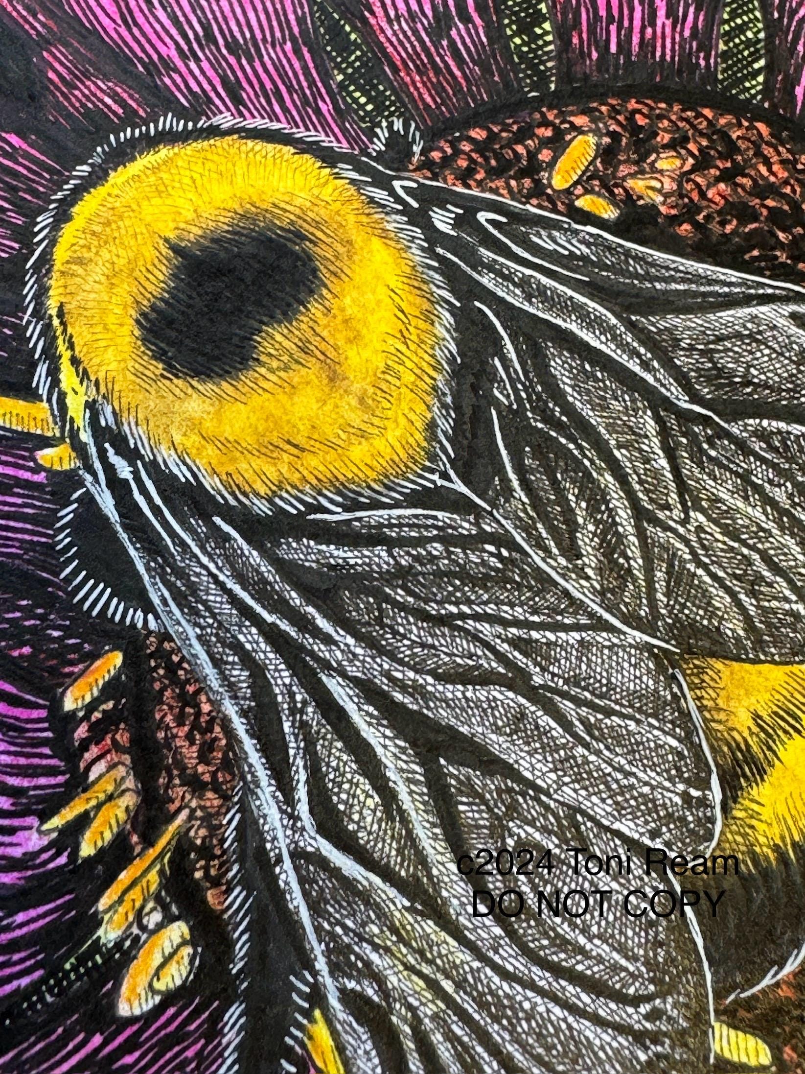ORIGINAL Bee Art Sketch Portrait | Farmhouse Insect Bug Wall Decor OOAK ...