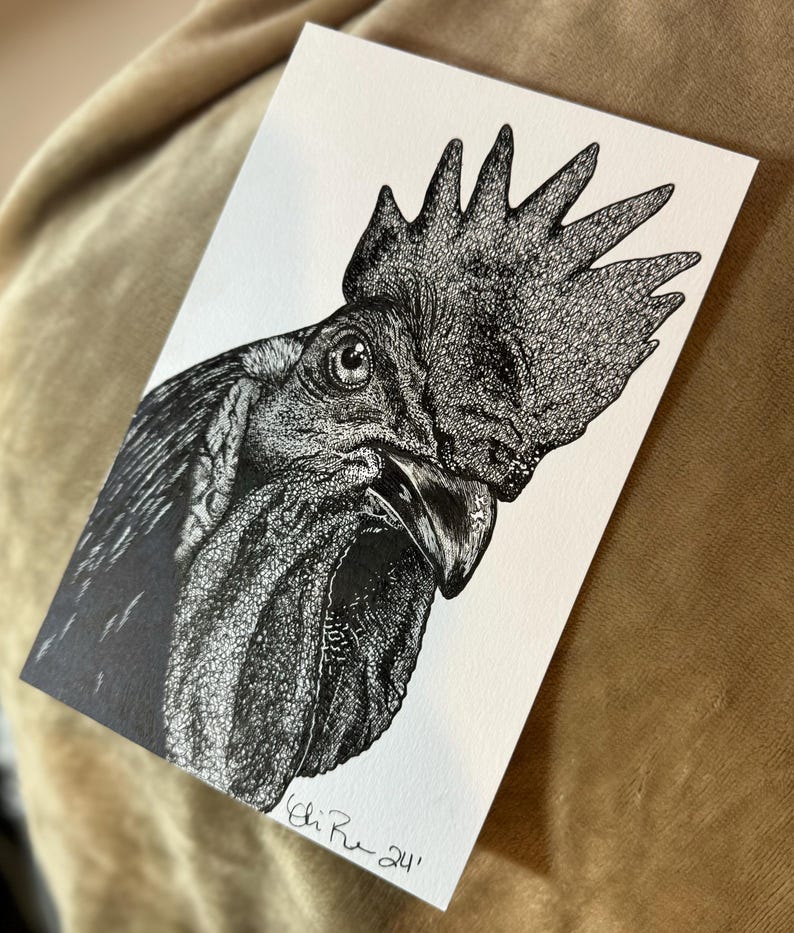 ORIGINAL Rooster Art Chicken Portrait Ink Pen | Pet, Farmhouse, Animal ...