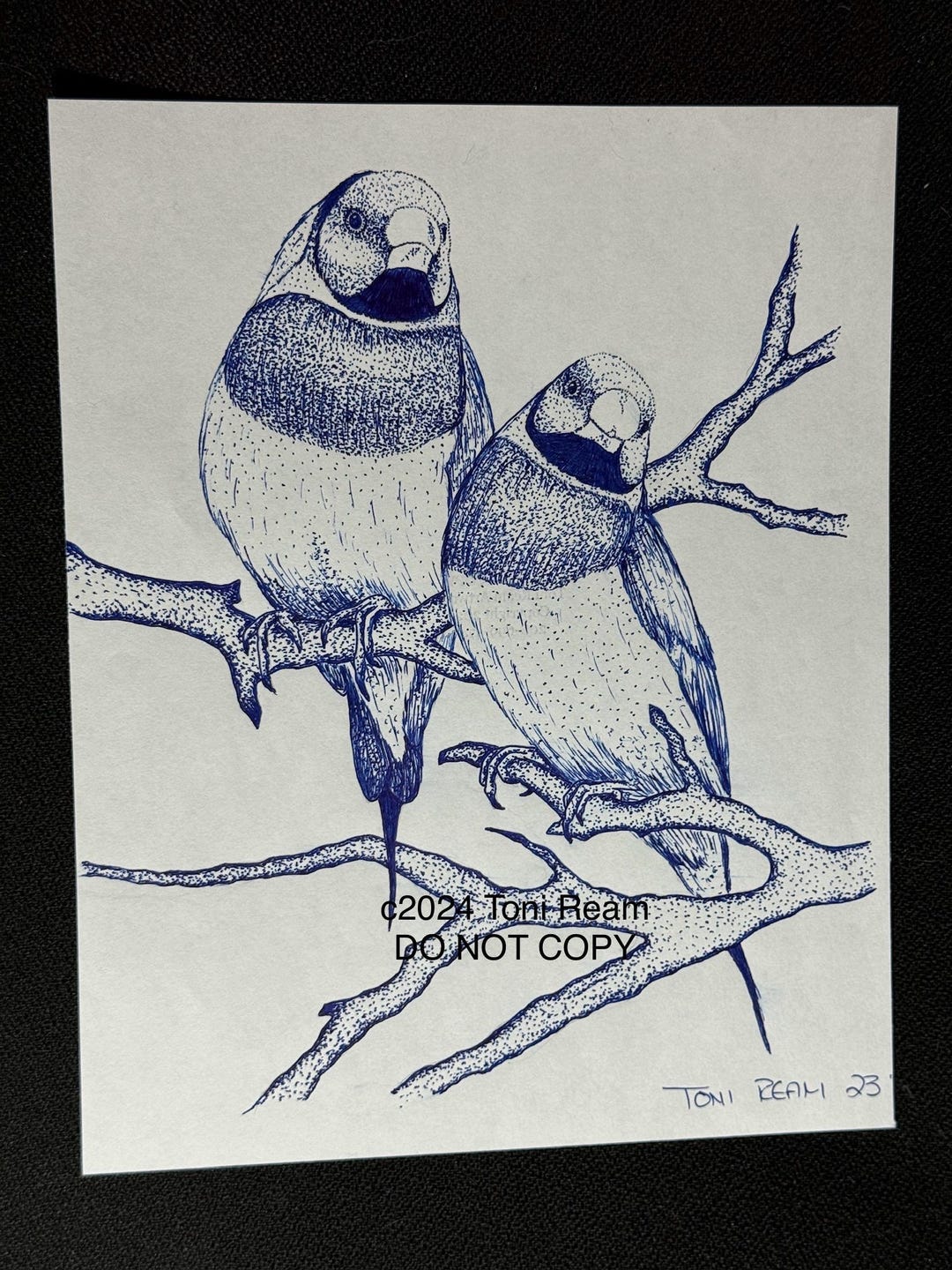 ORIGINAL Finch Art Sketch Portrait | Pet Farmhouse Animal Wall Decor ...