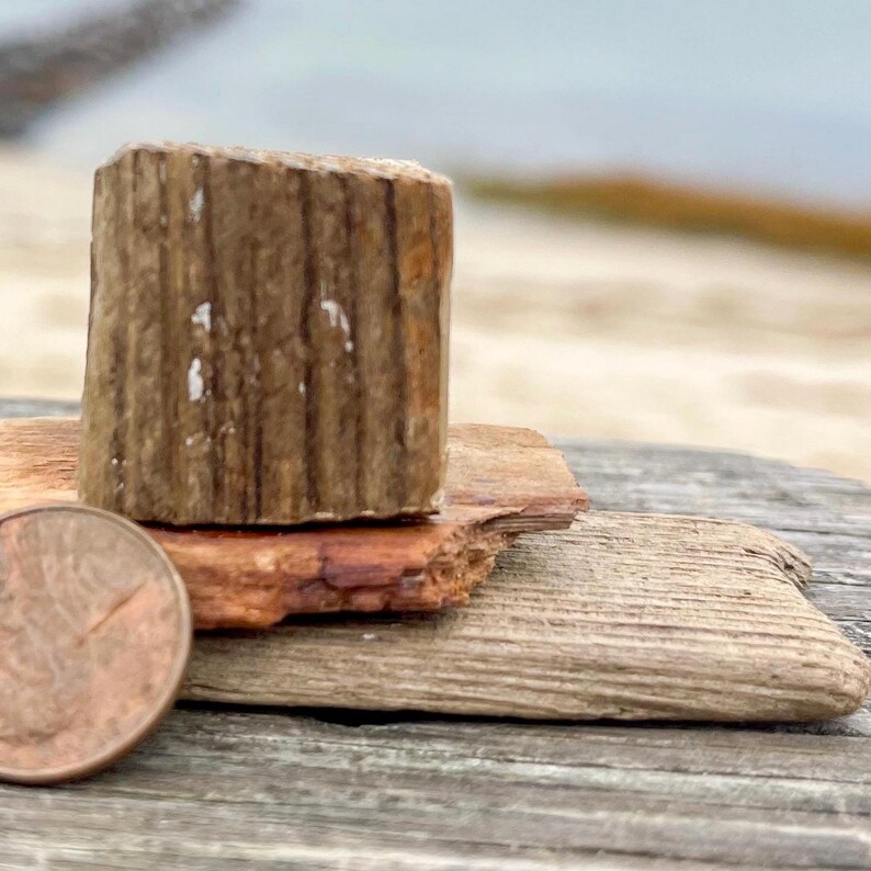 Cape Cod Iconic Dune Shacks Encrusted Shell Driftwood Handmade - Etsy