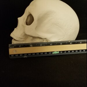 Ceramic Bisque Skull - Etsy