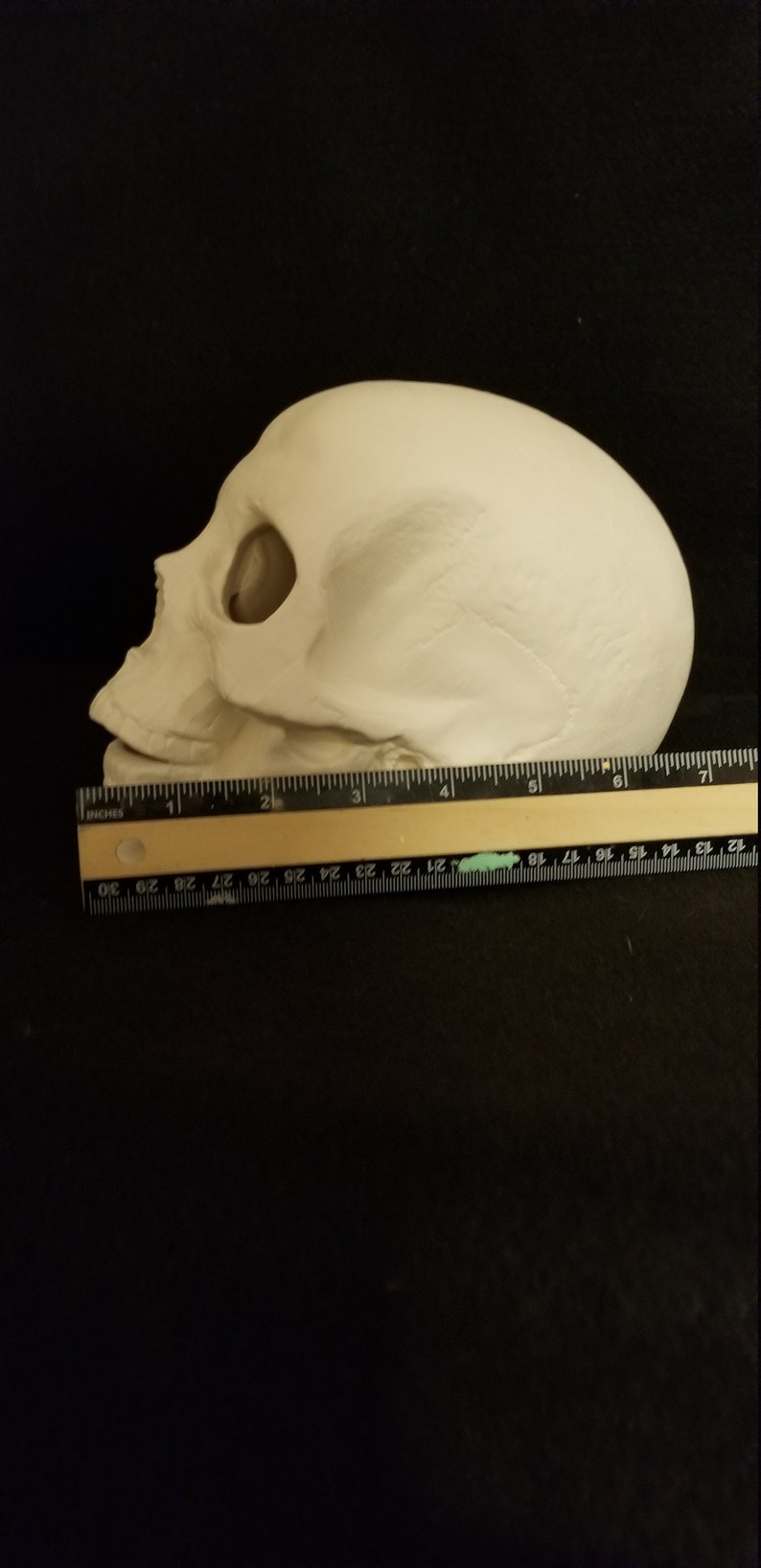 Ceramic Bisque Skull - Etsy