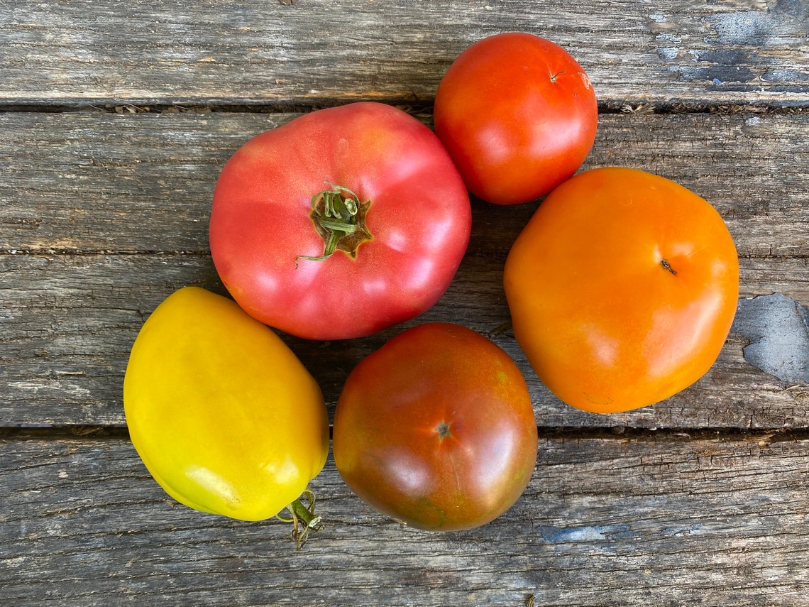Farm Favorite Heirloom Tomato Seed Collection / Six Historic - Etsy