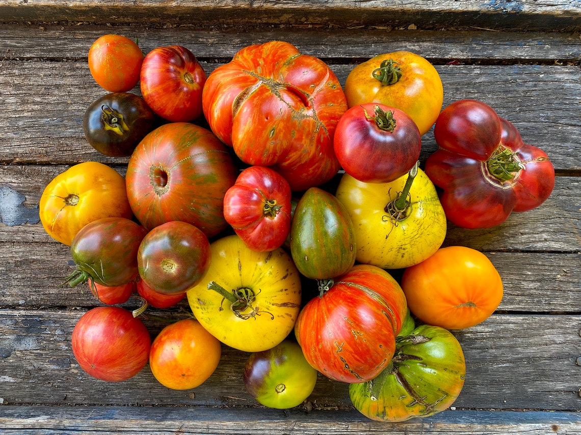 Psychedelic Tomato Garden / Eight Unique & Colorful Varieties | Etsy
