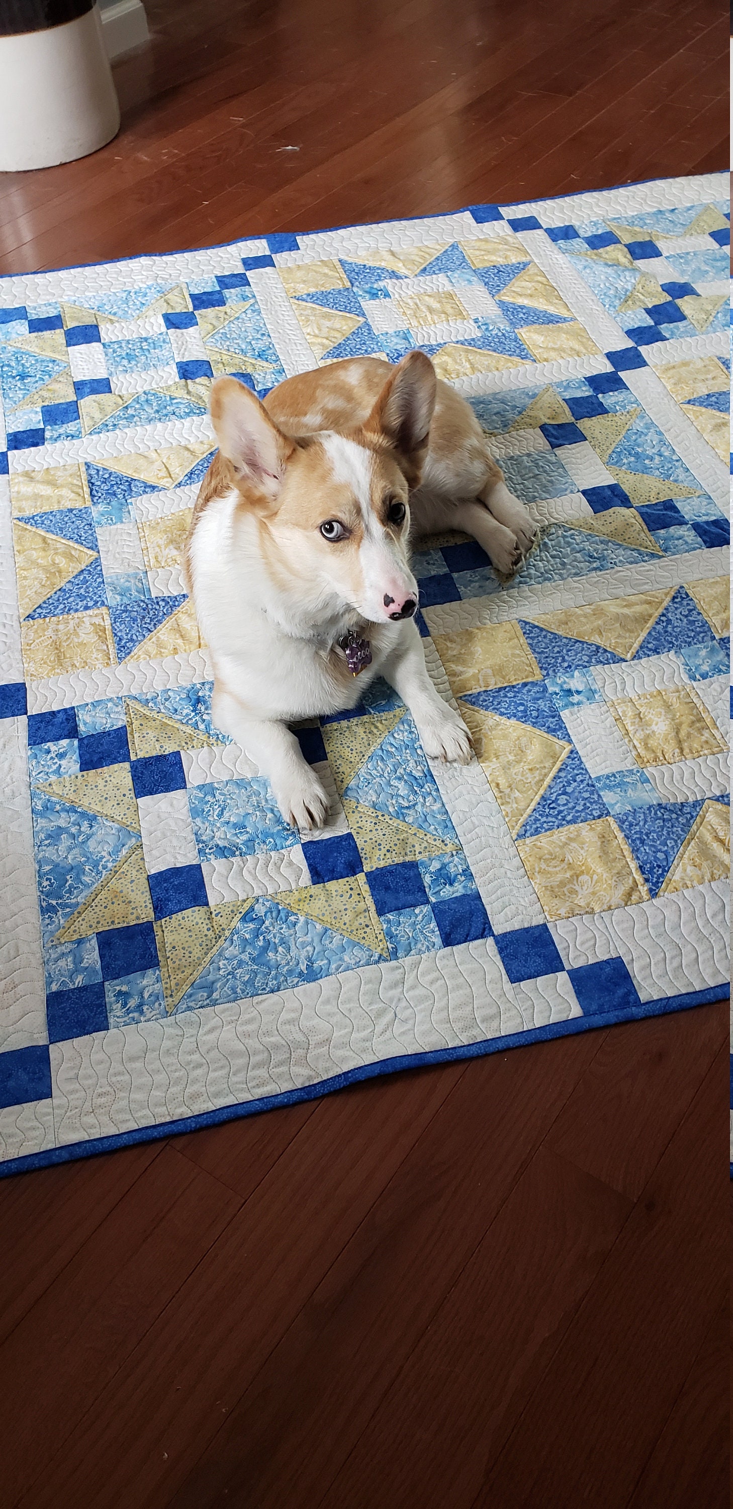 Tulip Stars Quilt Pattern PDF Print Pattern Spring Home Decor - Etsy