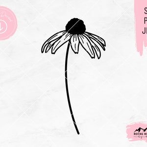 Black Eyed Susan Flower Design - Svg, Png, Jpeg - for Cricut/cutting ...