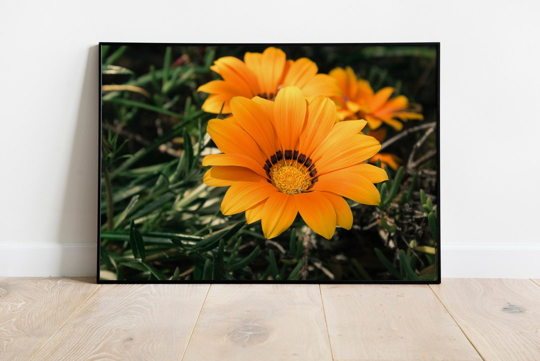 Orange Flowers Photography, Happy Poster, Floral Botanical Wall Decor ...