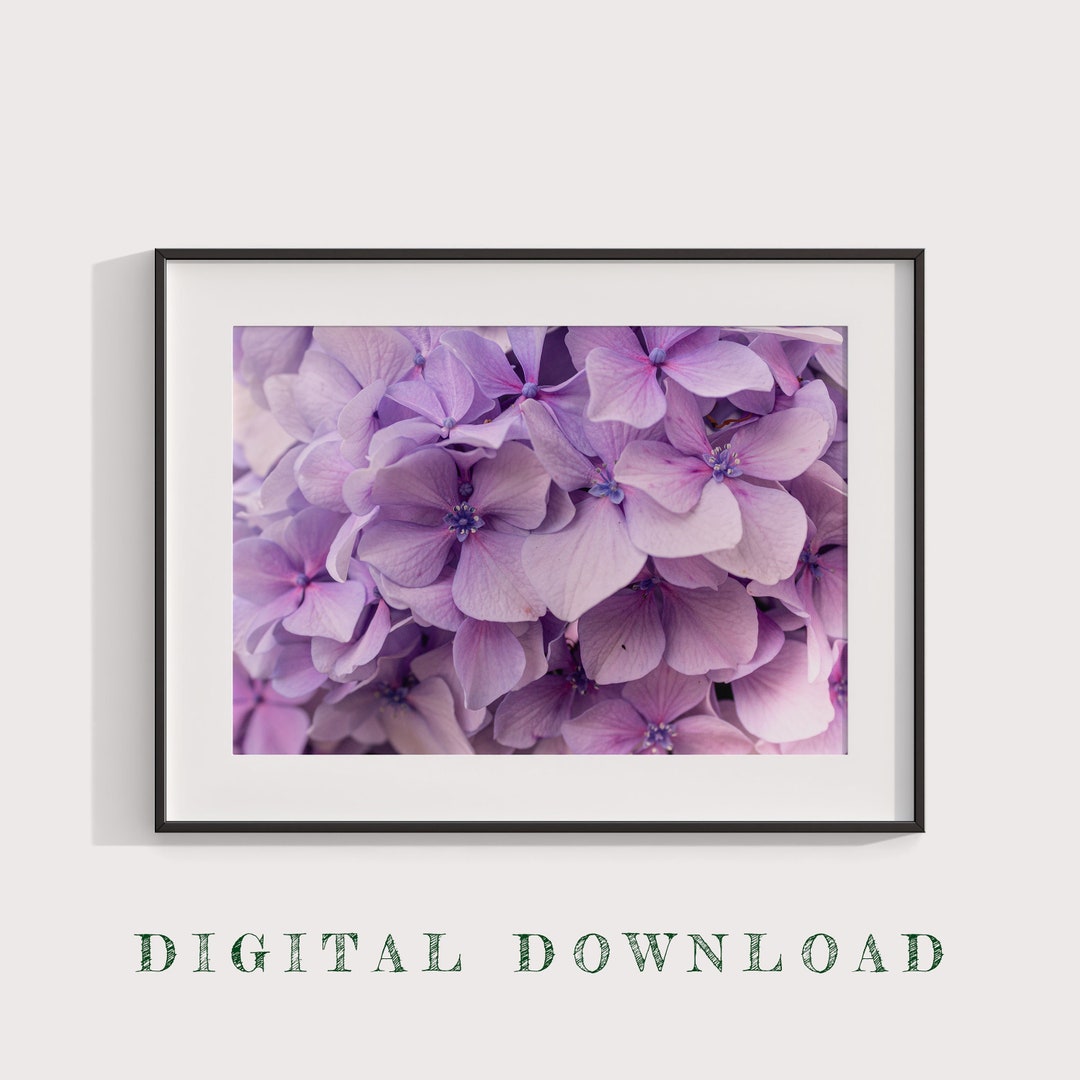 Hydrangea Printable Photography, Floral Print, Wall Art Flower Decor ...