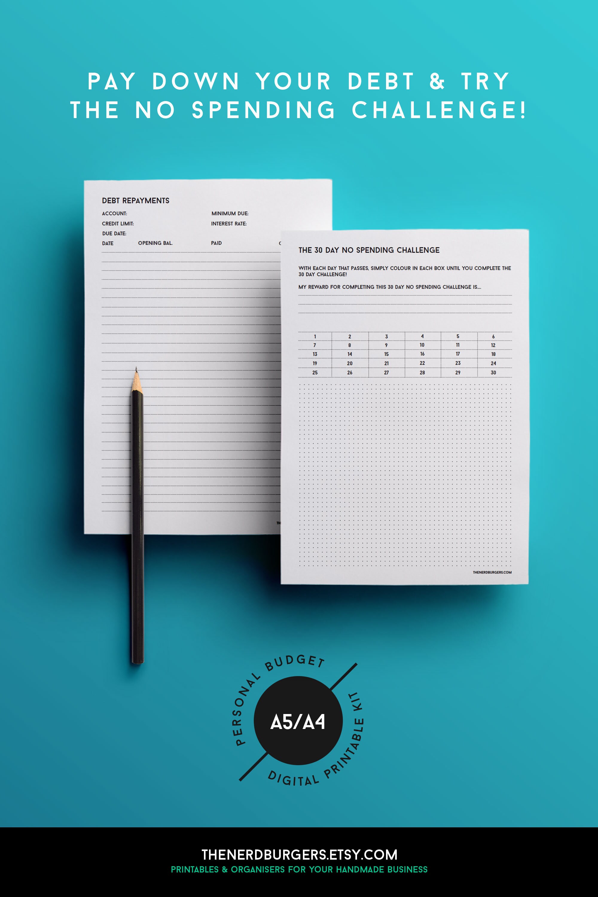 Mini Budget Planner, Budget Binder, Finance Planner, Financial Planning ...