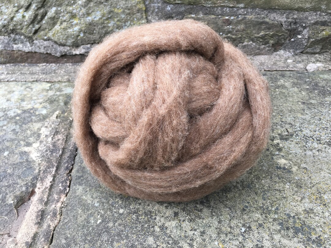 Castlemilk Moorit Hand Spinning and Felting Wool Fibre 100 Grammes - Etsy