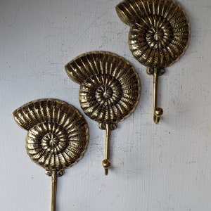 Shell Fossil Hook. Brass Sea Shell Hook Hanger Excellent Home Decor ...