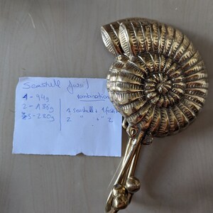 Shell Fossil Hook. Brass Sea Shell Hook Hanger Excellent Home Decor ...