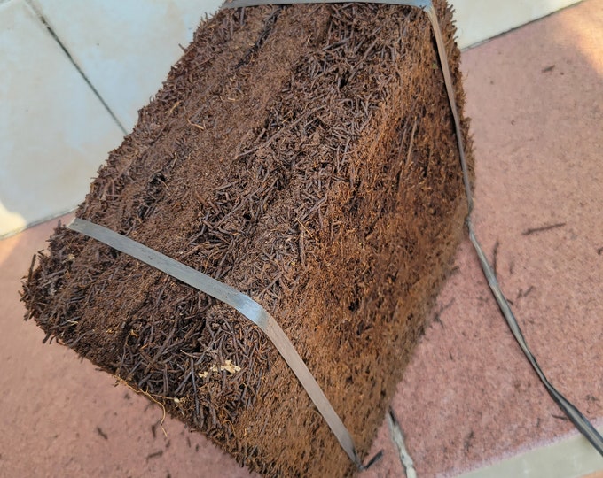 Tree Fern Pole for Climbing Aroids 20” Tall - Etsy