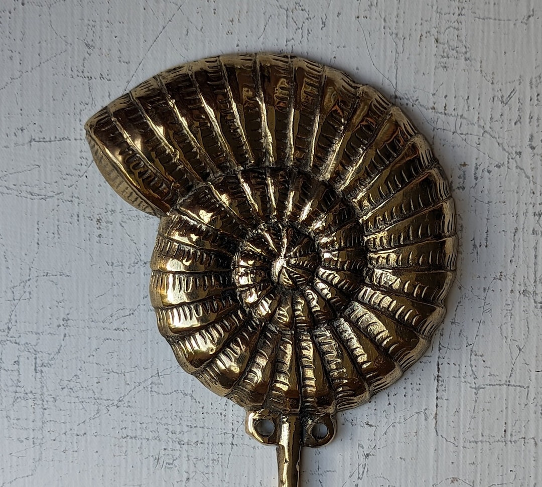 Shell Fossil Hook. Brass Sea Shell Hook Hanger Excellent Home Decor ...