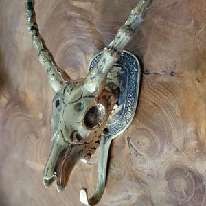 Impala Skeleton Head Brass Hook - Etsy