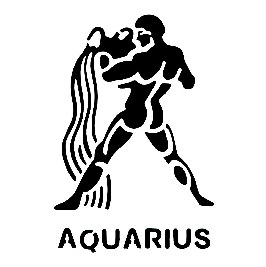 PLASTIC STENCIL 1515cm: Astrological Sign Aquarius aquarius - Etsy