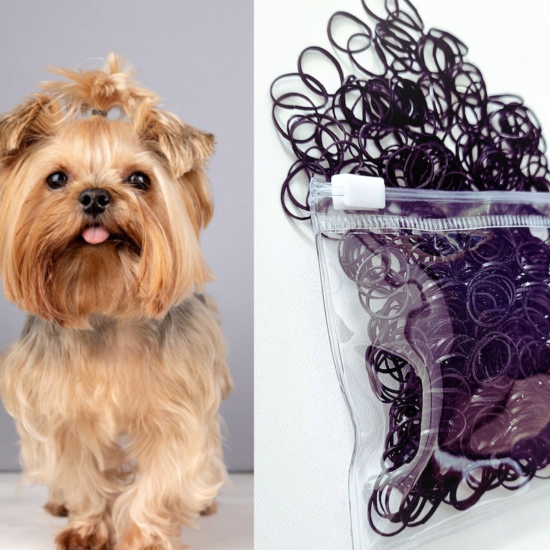 SmallDogFashion - Etsy