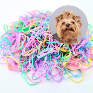 Colorful Bands for Dog Hair Bands Dog Grooming Elastic Dog Bands Mini ...