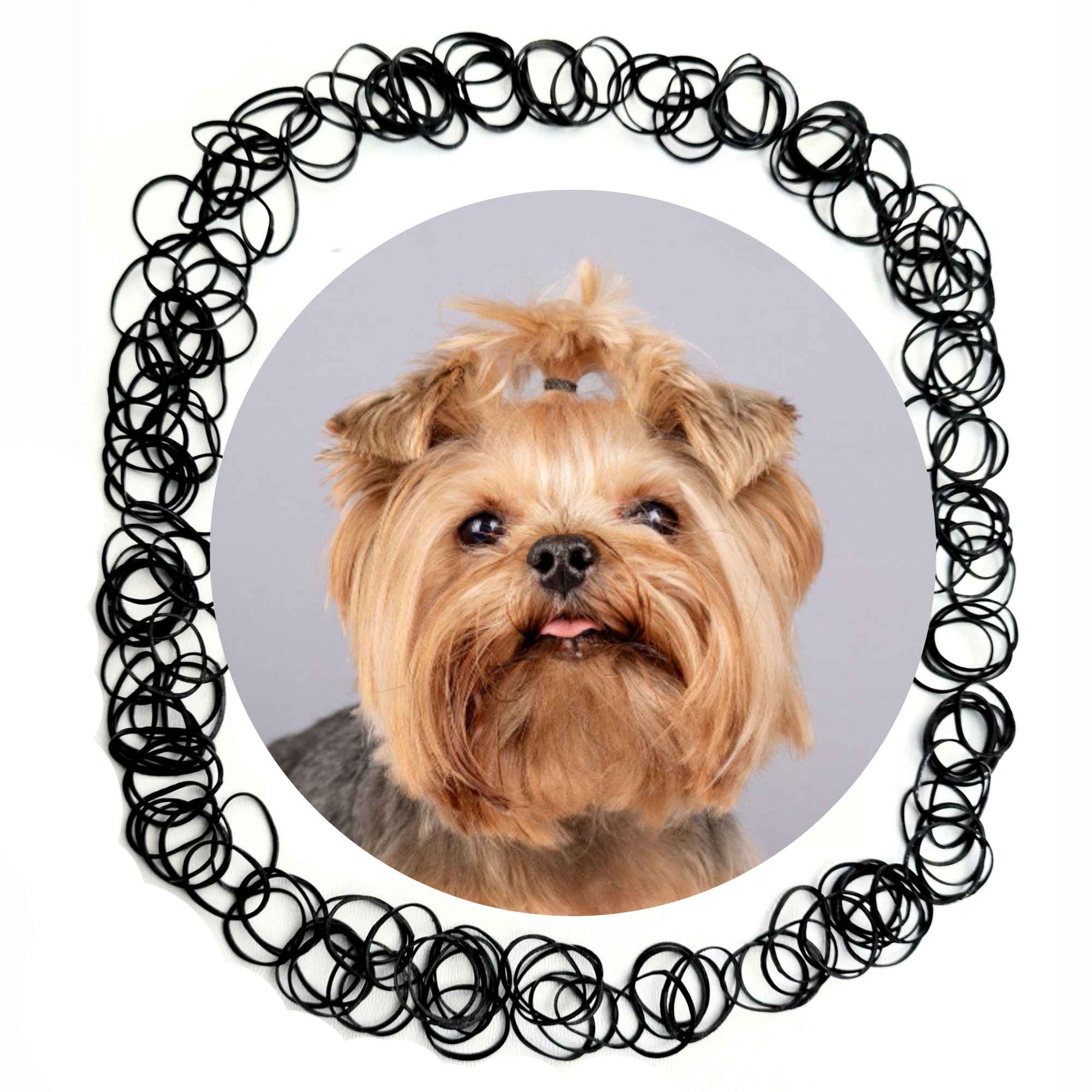 Black Rubber Bands for Dog Hair Bands Dog Grooming Lightweight Elastic ...