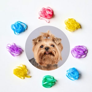 Colorful Bands for Dog Hair Bands Dog Grooming Elastic Dog Bands Mini ...