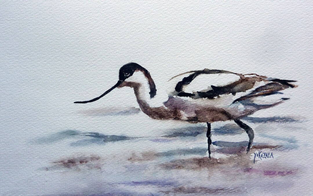 The Elegant Avocet Watercolor and Indian Ink - Etsy