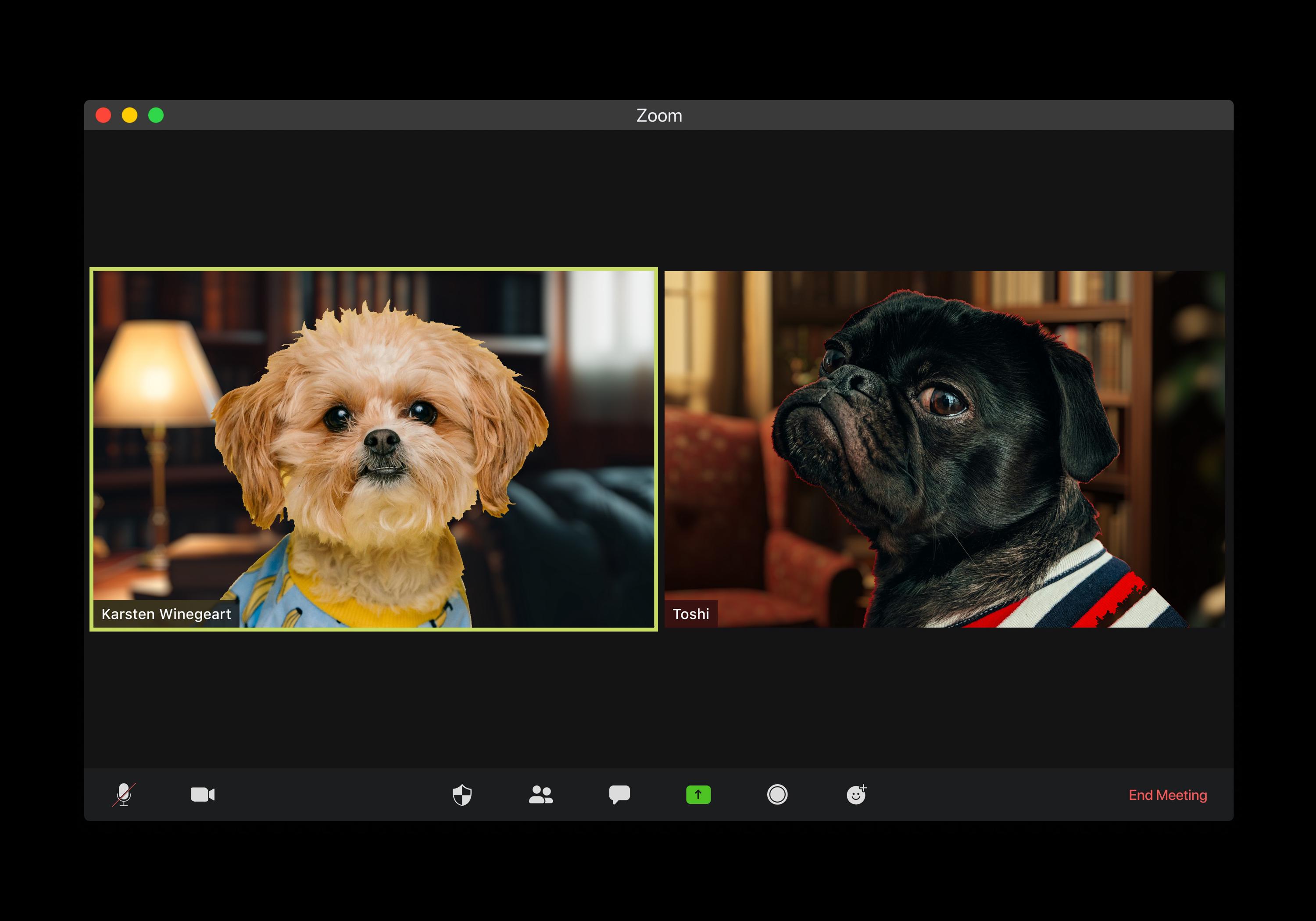 6 Warm Bookshelf Zoom Backgrounds | Aesthetic Virtual Backgrounds for ...