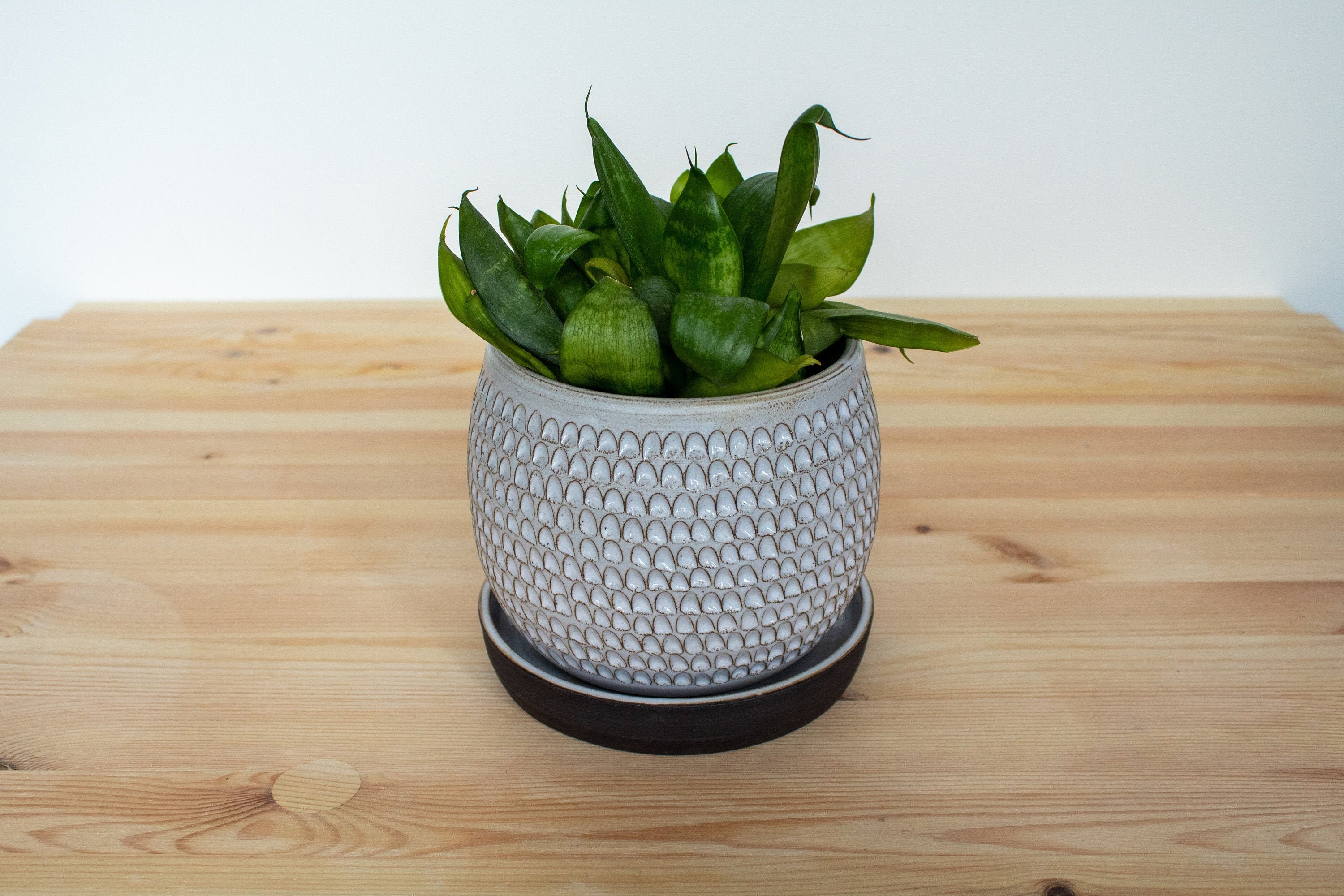 Plant Pot Handmade Pottery | Etsy