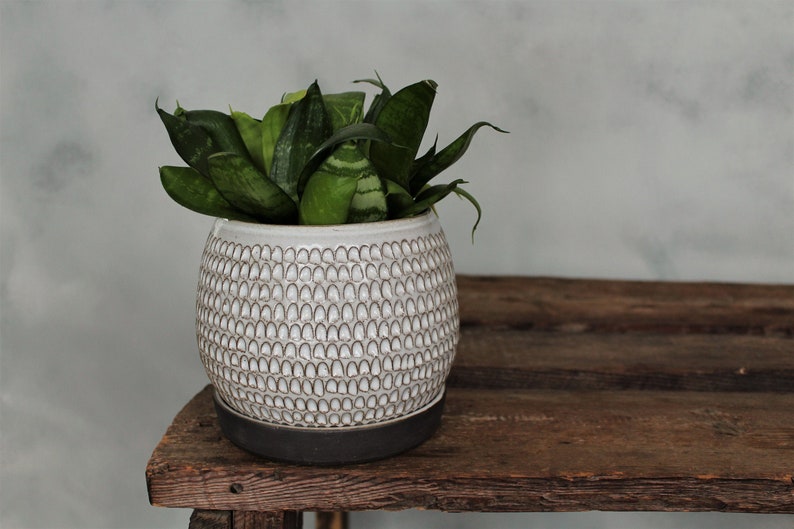 Plant Pot Handmade Pottery | Etsy