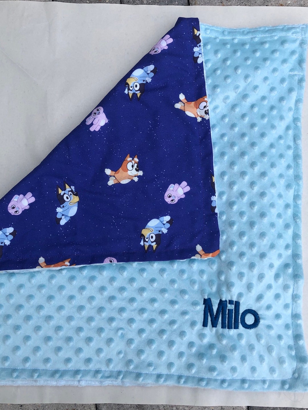 Bluey With Minky Fabric,20x20 Lap Blanket Weighted/none Weighted. Car ...