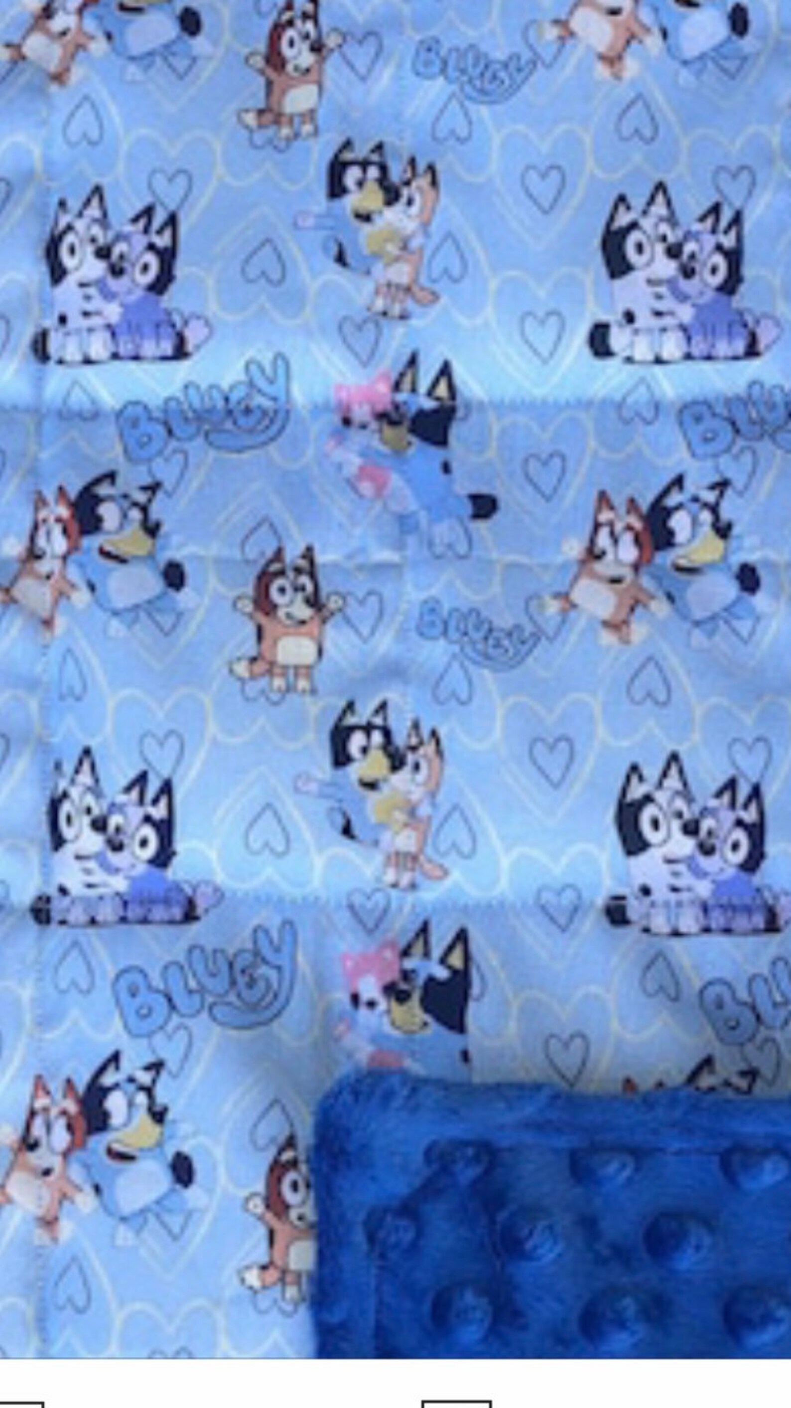 Disney Bluey and Friends Lap Pad With Minky Fabric. 12X18. - Etsy