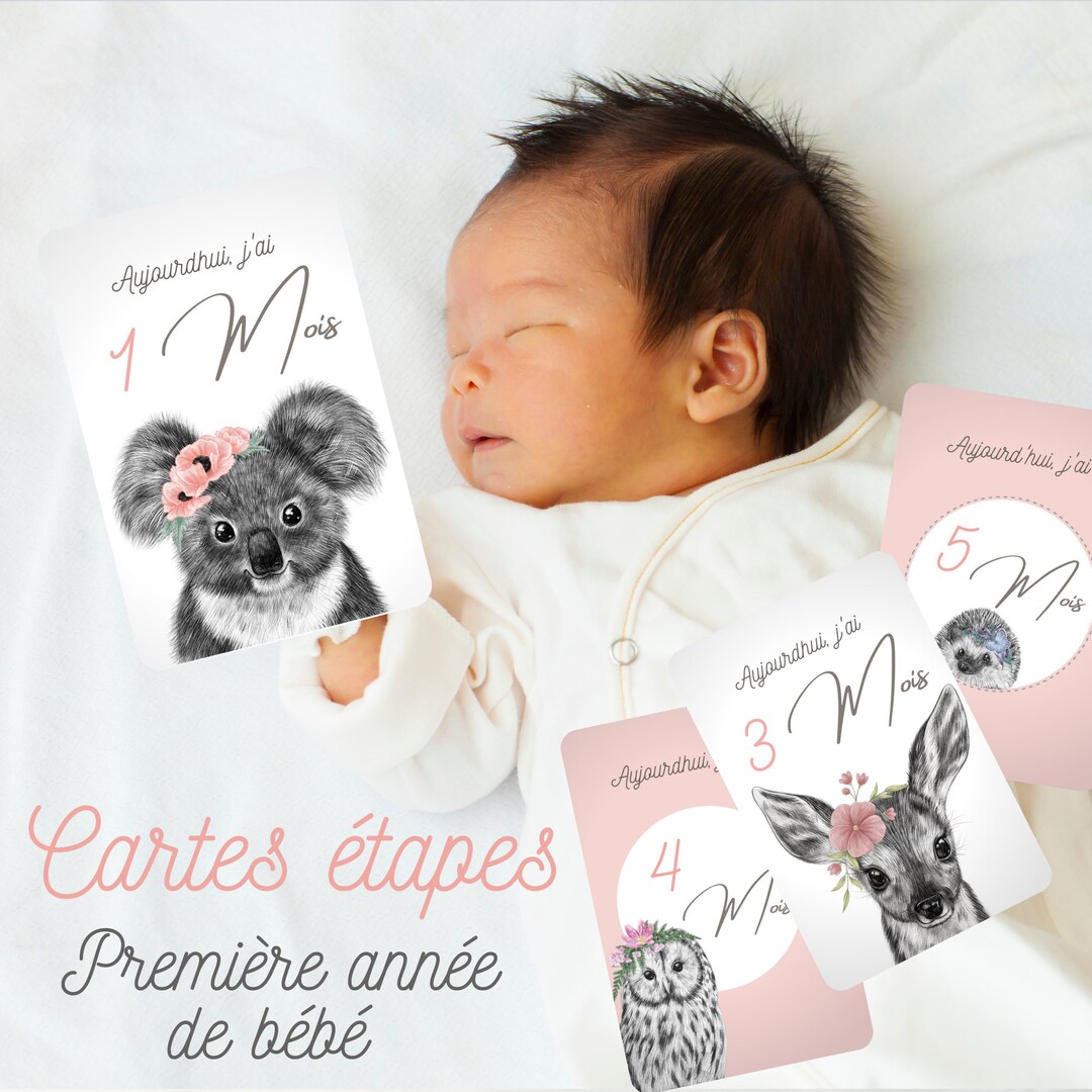 12 Milestone Cards - Baby's First Year - Pink Animal Drawing Theme - Etsy