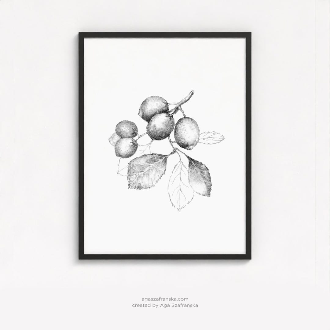 Lemon Friut Sketch, Pencil Drawing, Branch With Leaves, Printable ...