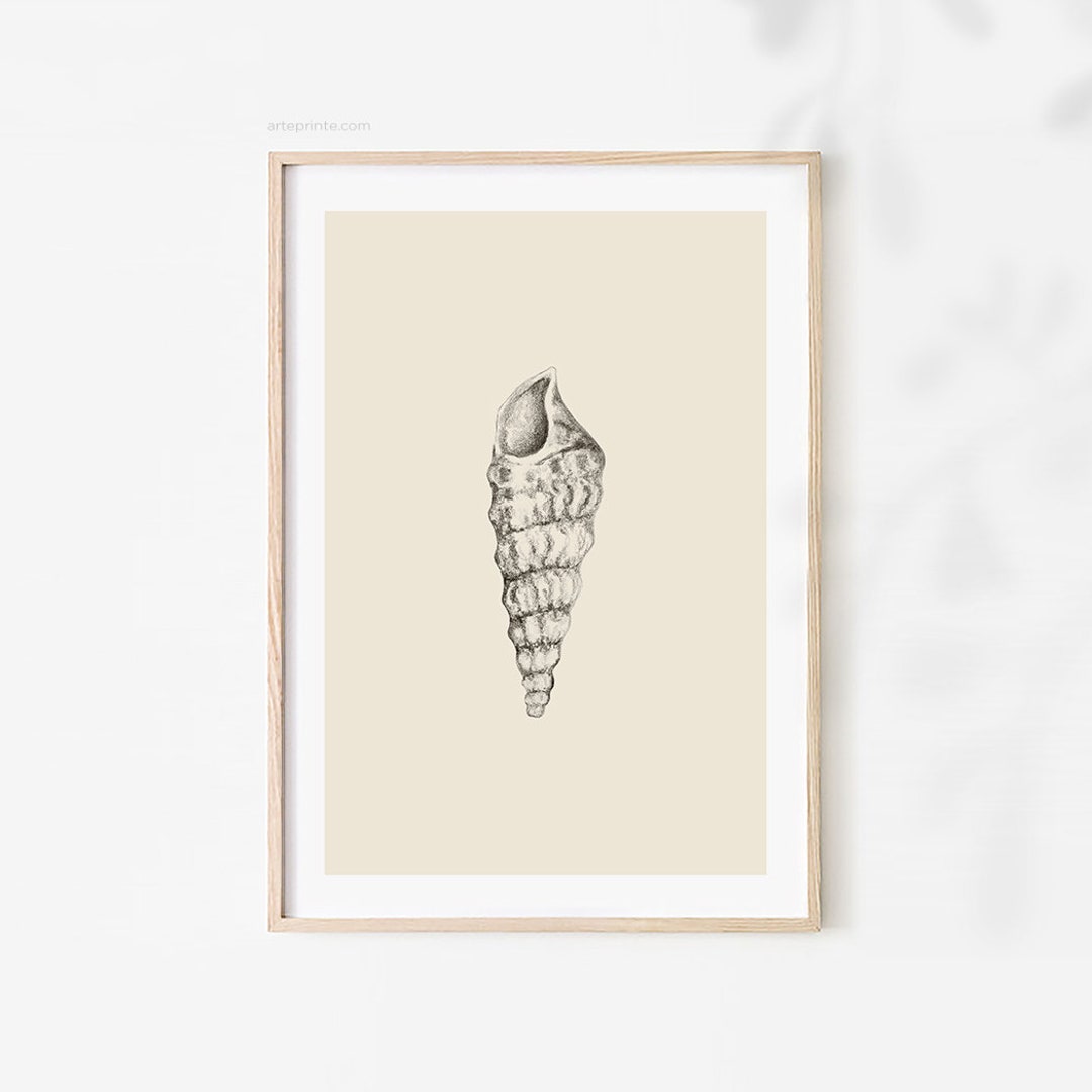 Seashell Sketch Printable, Pencil Drawing, Seashell Illustration ...