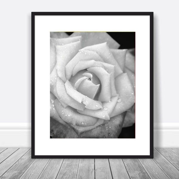 White Rose Print - Etsy
